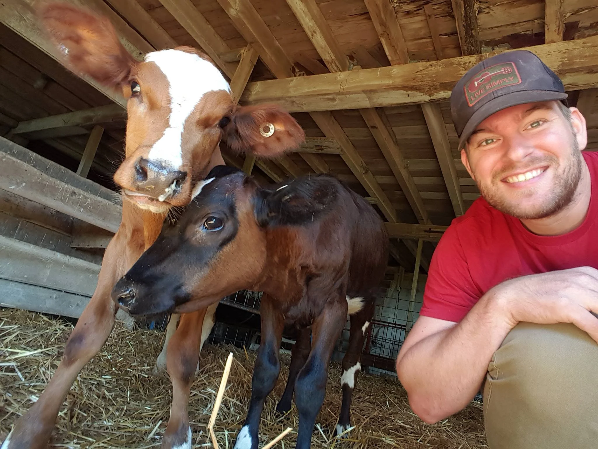 Founding Story | Barn Sanctuary
