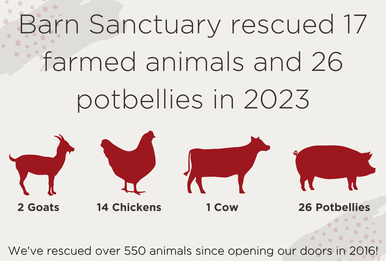 Who We Are | Barn Sanctuary