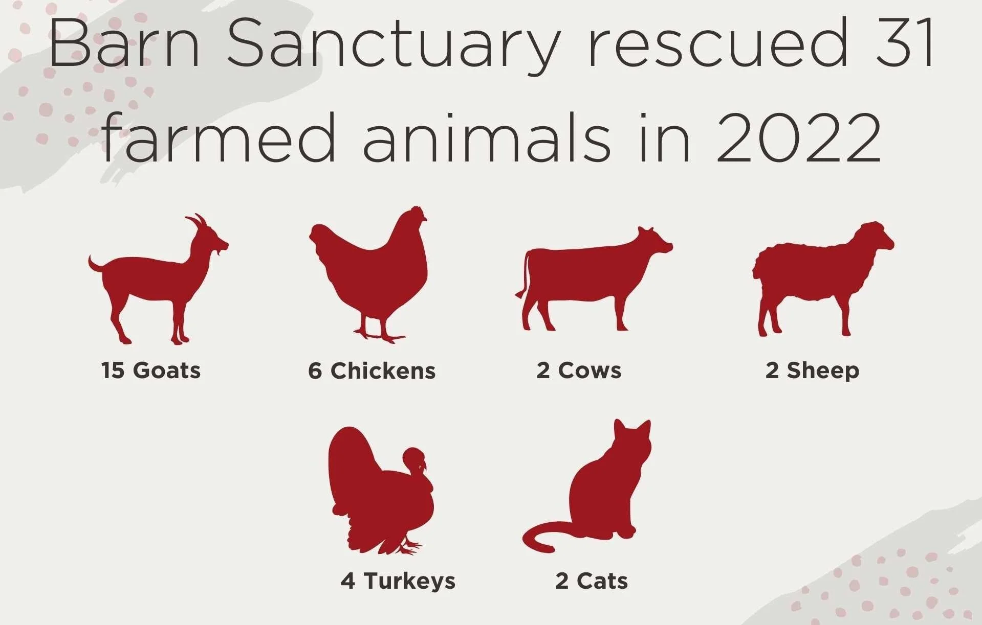 Who We Are | Barn Sanctuary