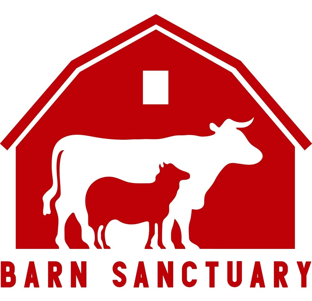 Barn Sanctuary | Home