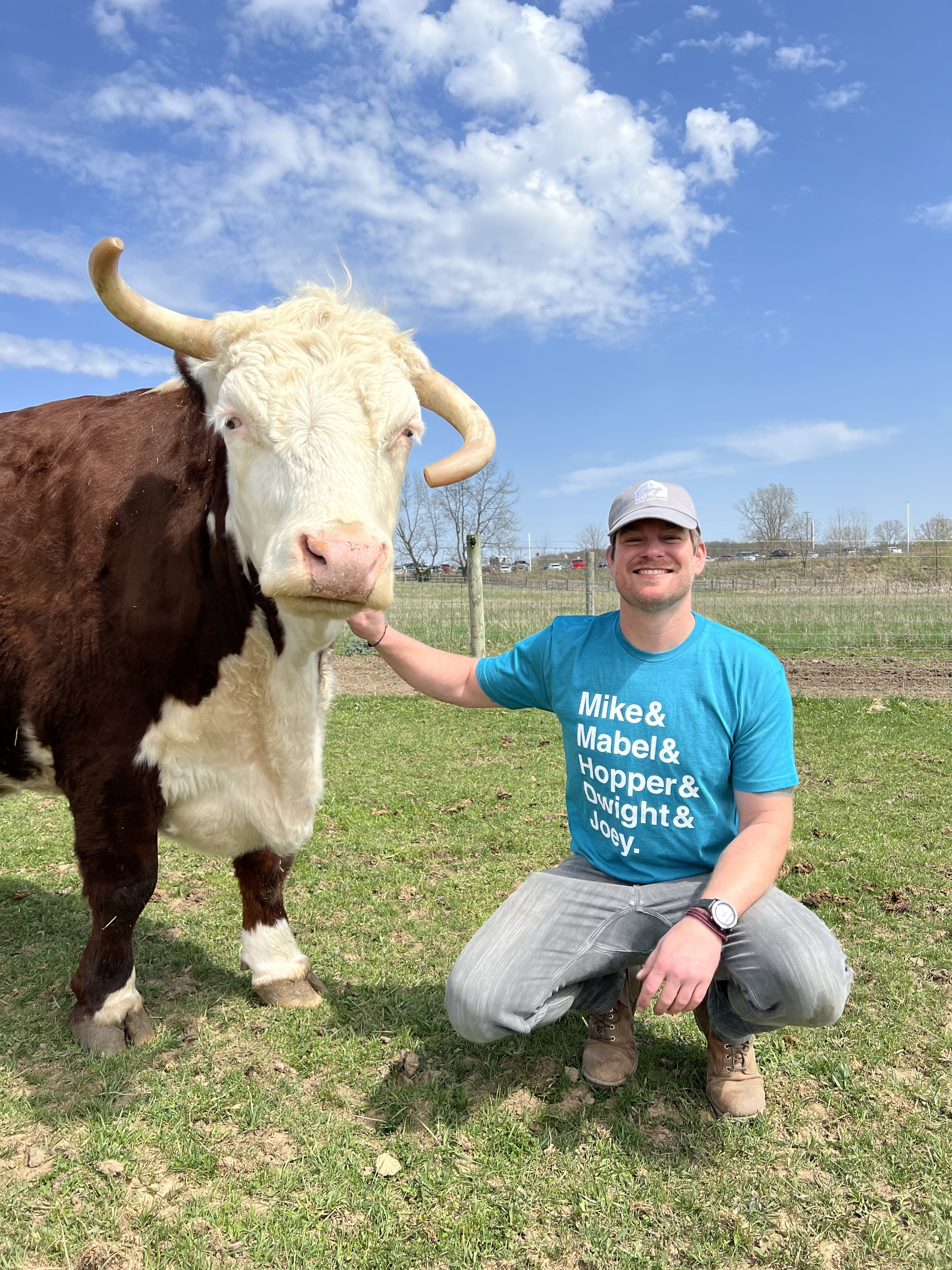 Barn Sanctuary | Home