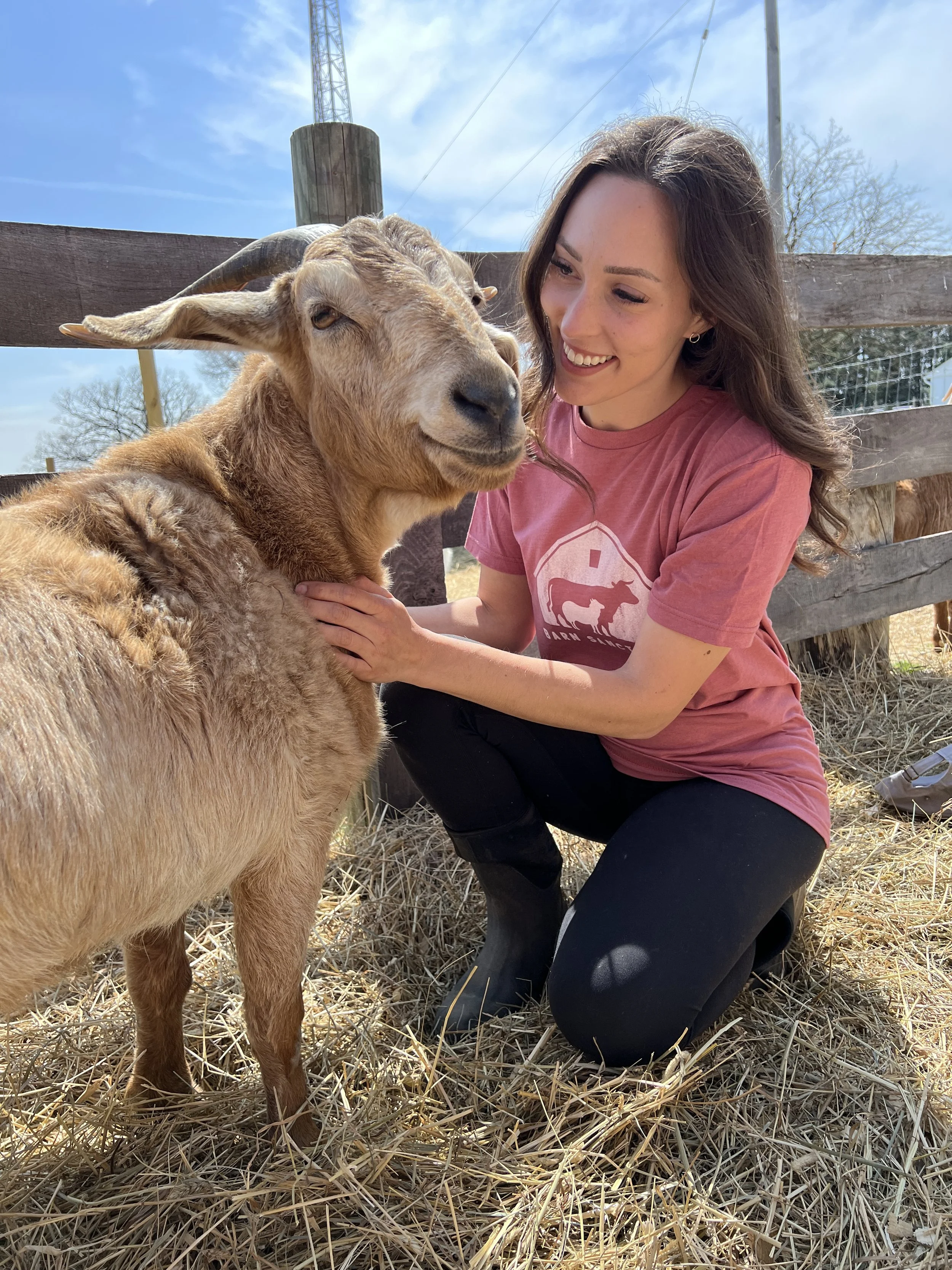 Barn Sanctuary | Home