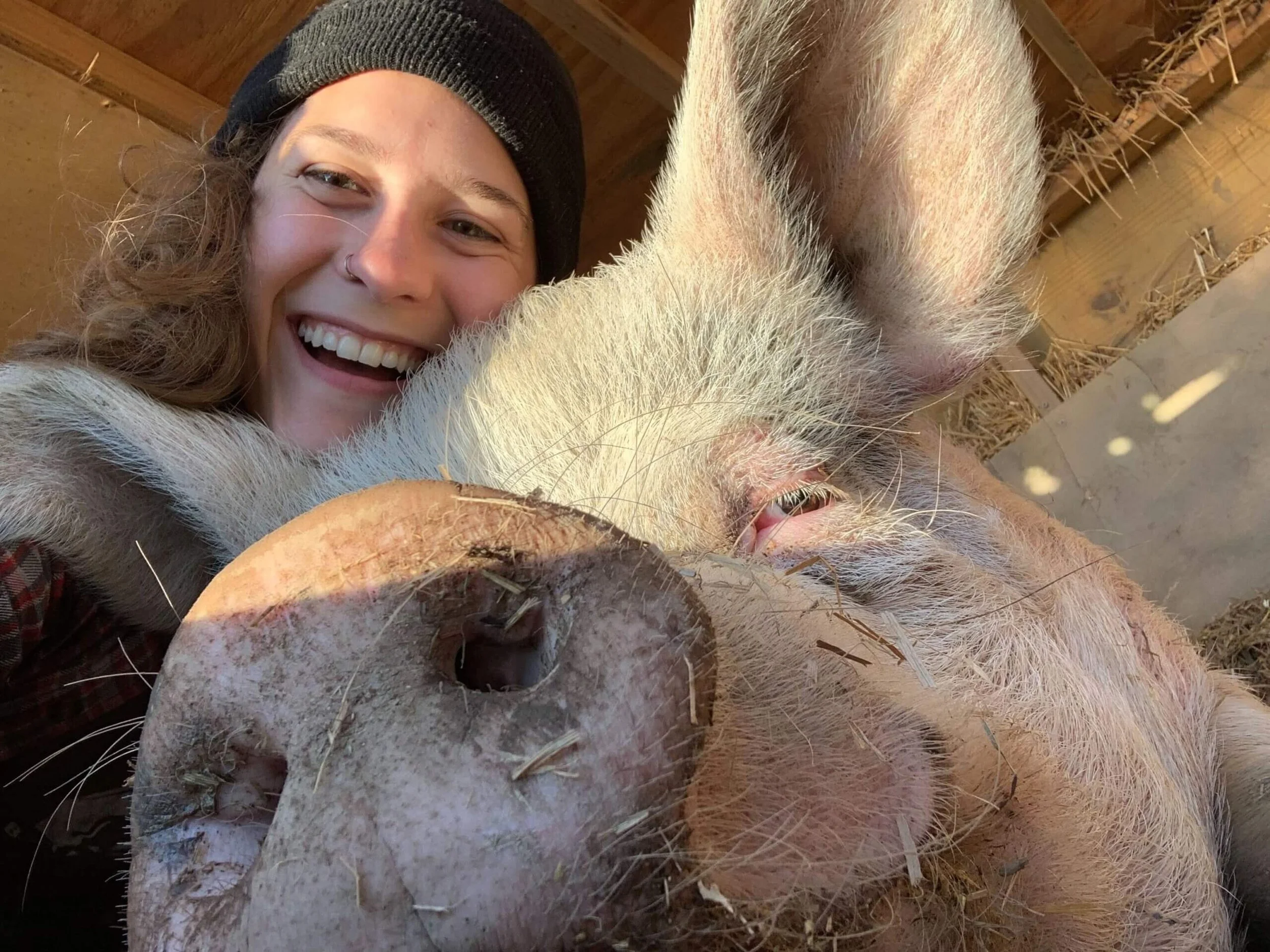 Meet the Humans | Barn Sanctuary