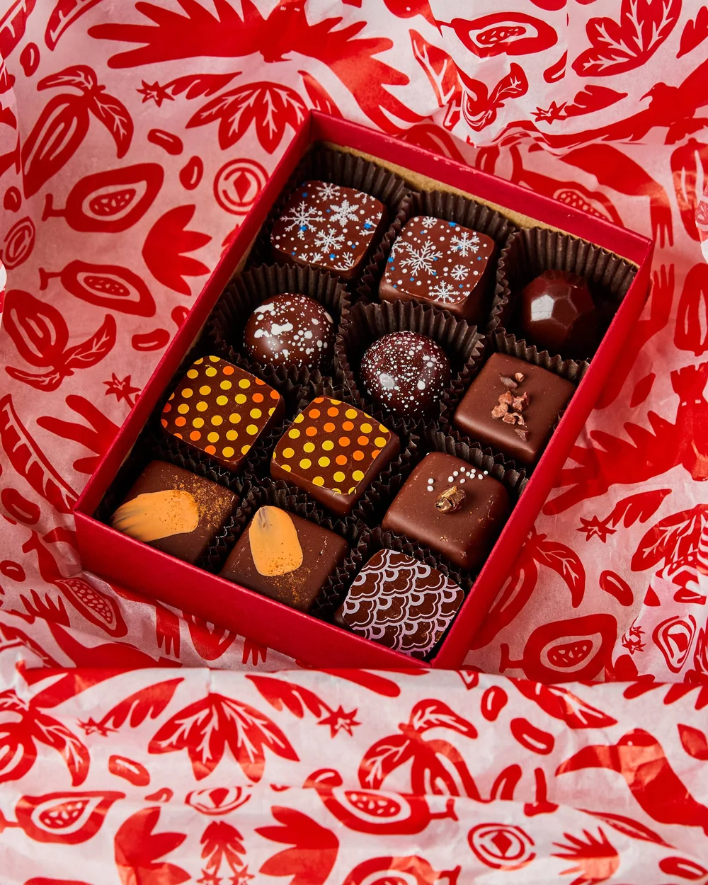 Condor — Calor Creative