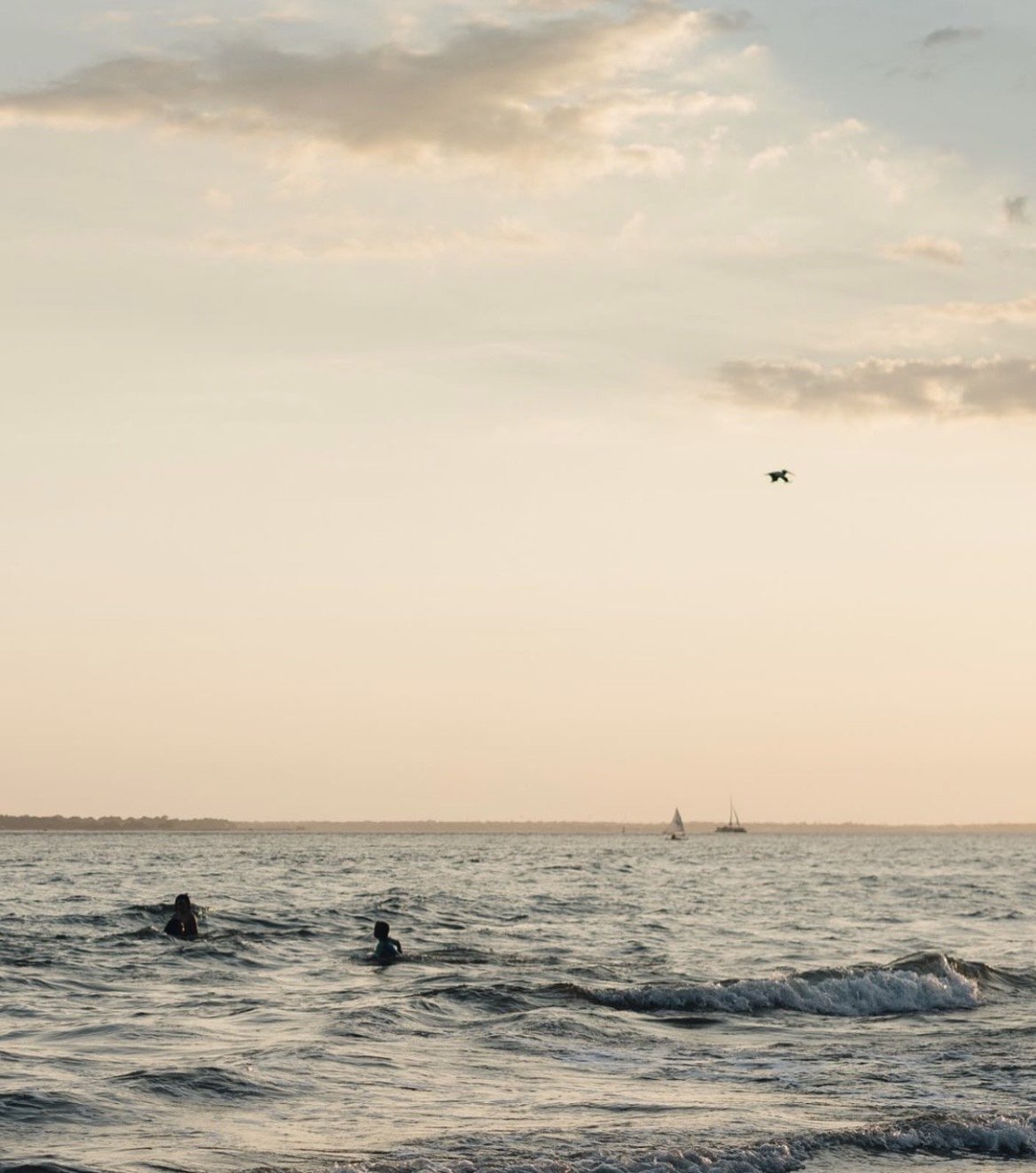 Wake Refill — Calor Creative