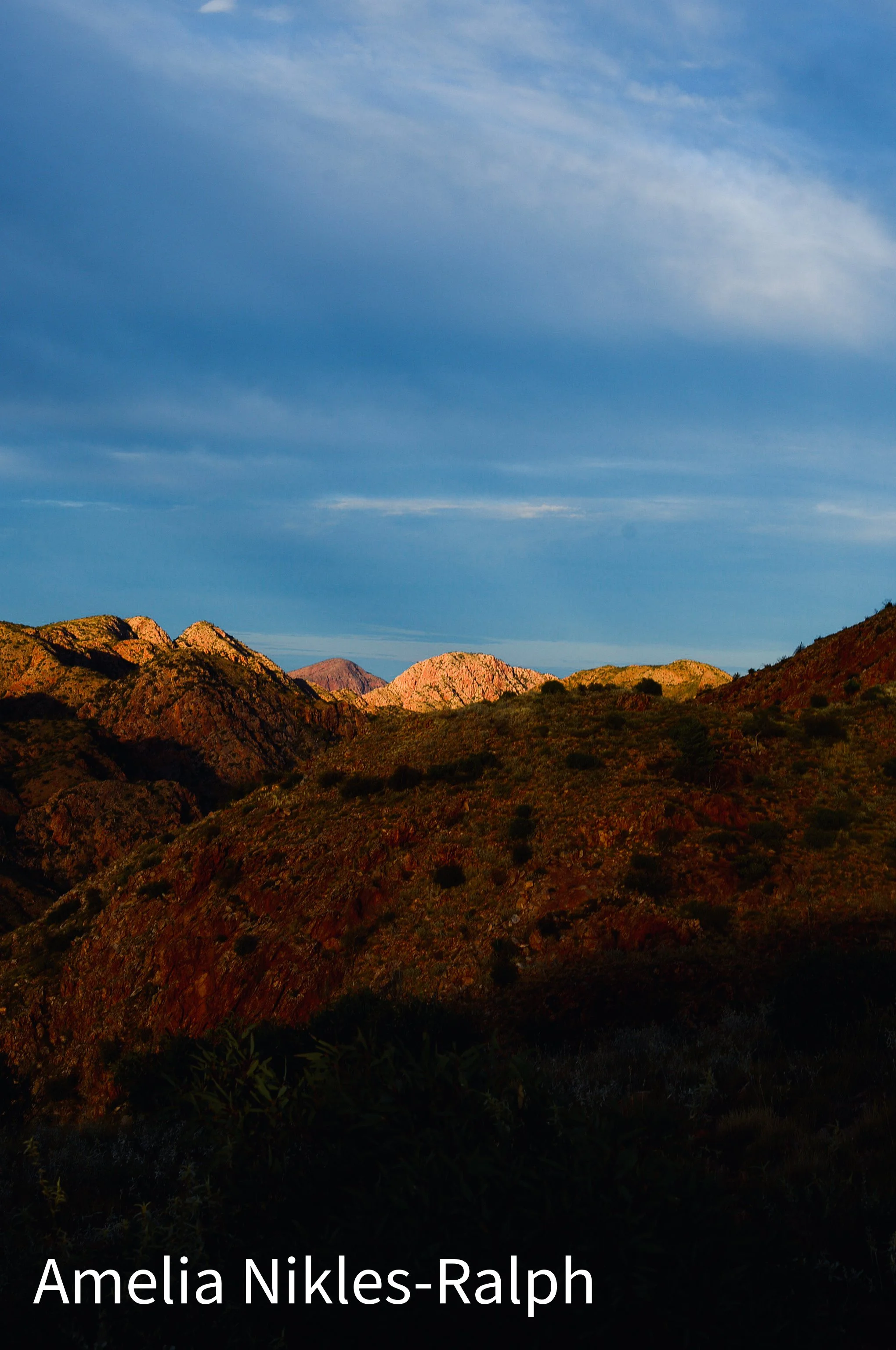 Larapinta Collection — AMELIA NIKLES-RALPH