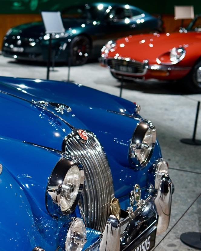 Now Showing — Brisbane Motor Museum