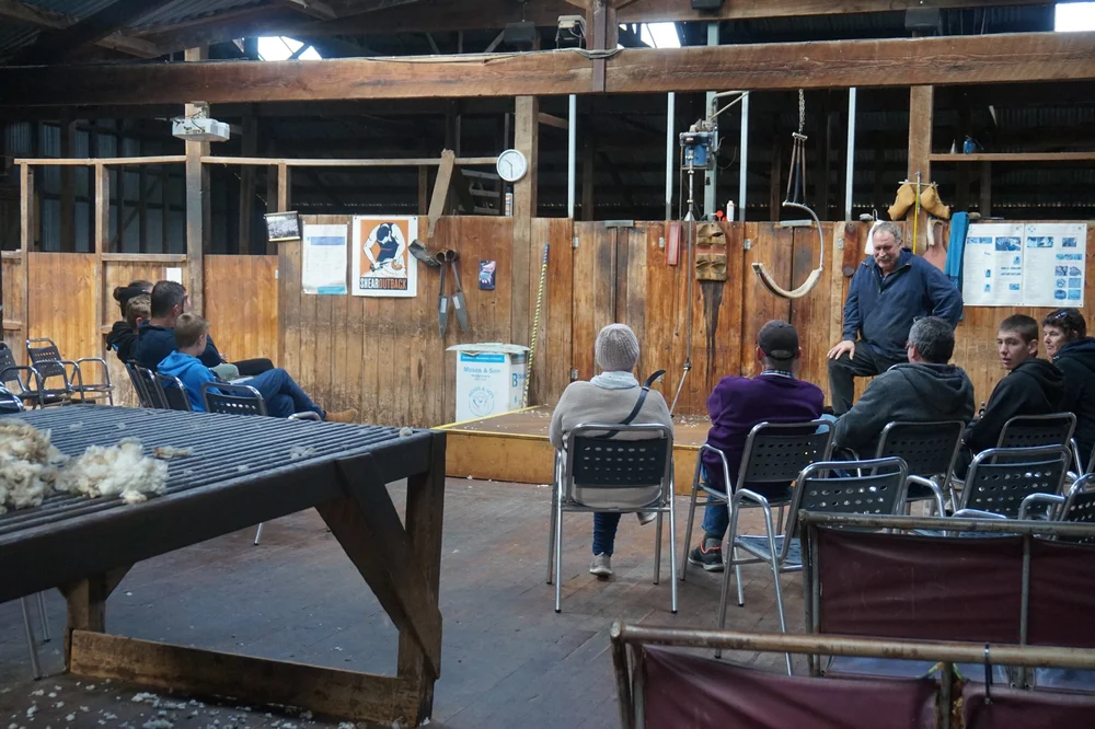 Demonstrations — Shear Outback