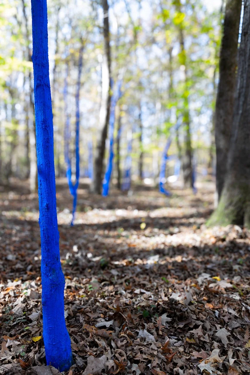 The Blue Trees | Explore Environmental Art — Germantown Public Art Program