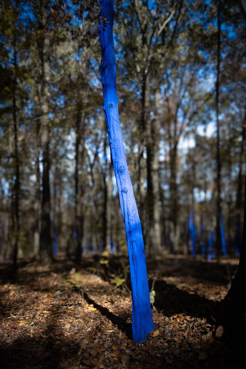The Blue Trees | Explore Environmental Art — Germantown Public Art Program