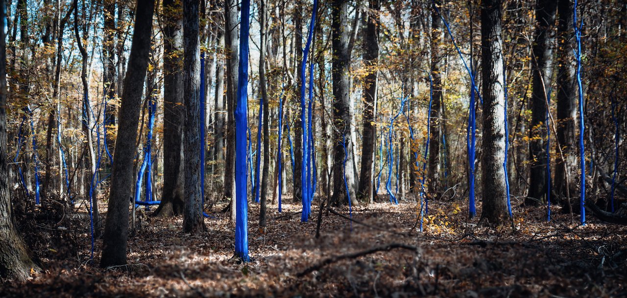 The Blue Trees | Explore Environmental Art — Germantown Public Art Program