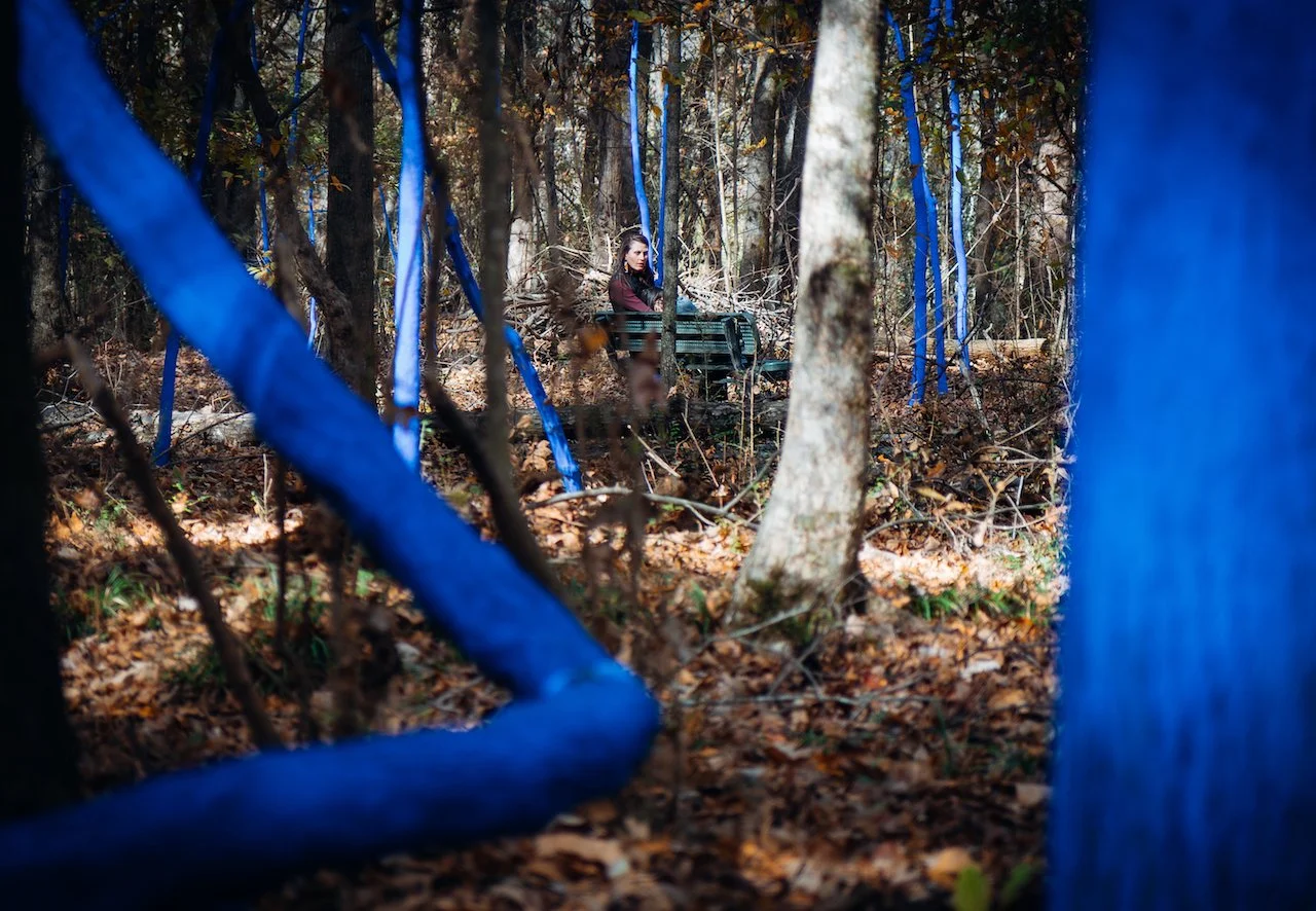 The Blue Trees | Explore Environmental Art — Germantown Public Art Program