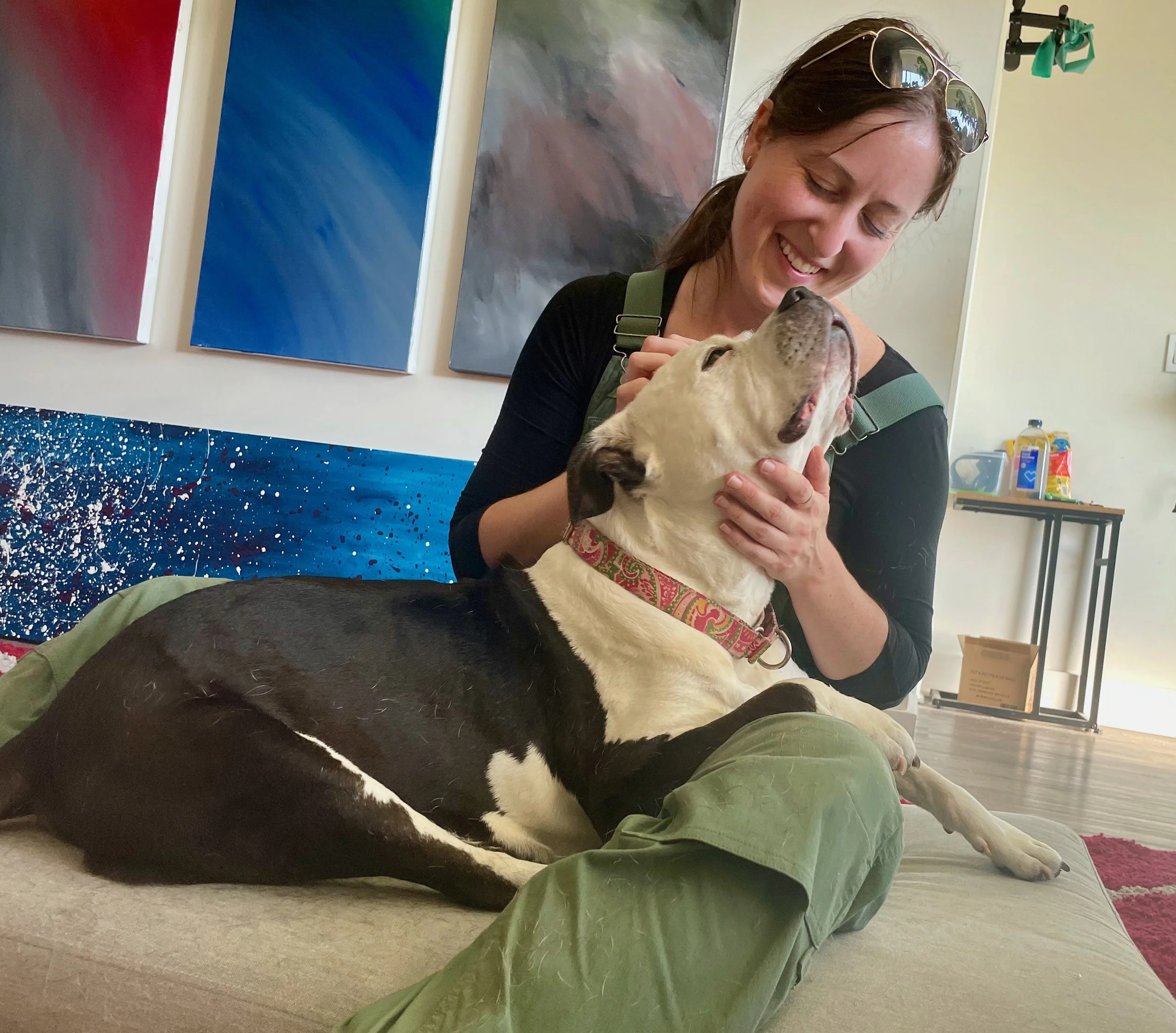 Meet Lauren, Certified Dog Physical Therapist — Paws Align Canine Rehab