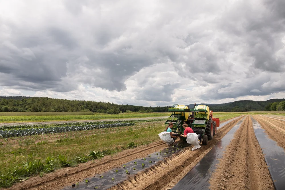 Work With Us — Honey Field Farm | Organic Vegetables | Greenhouses ...