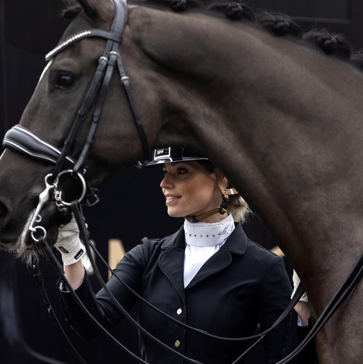 Store 2 — The Traditional Equestrian