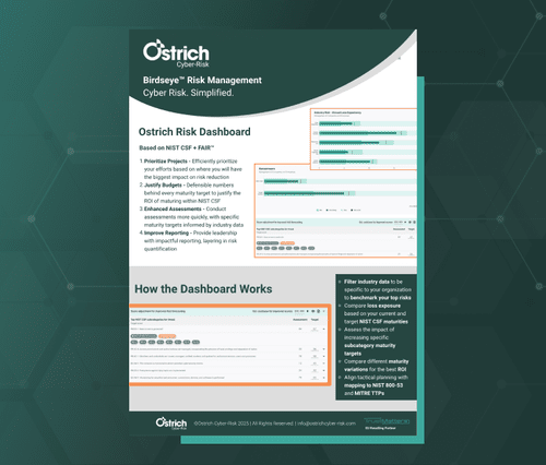 Birdseye™ Risk Dashboard One-Pager Overview — Ostrich Cyber-Risk