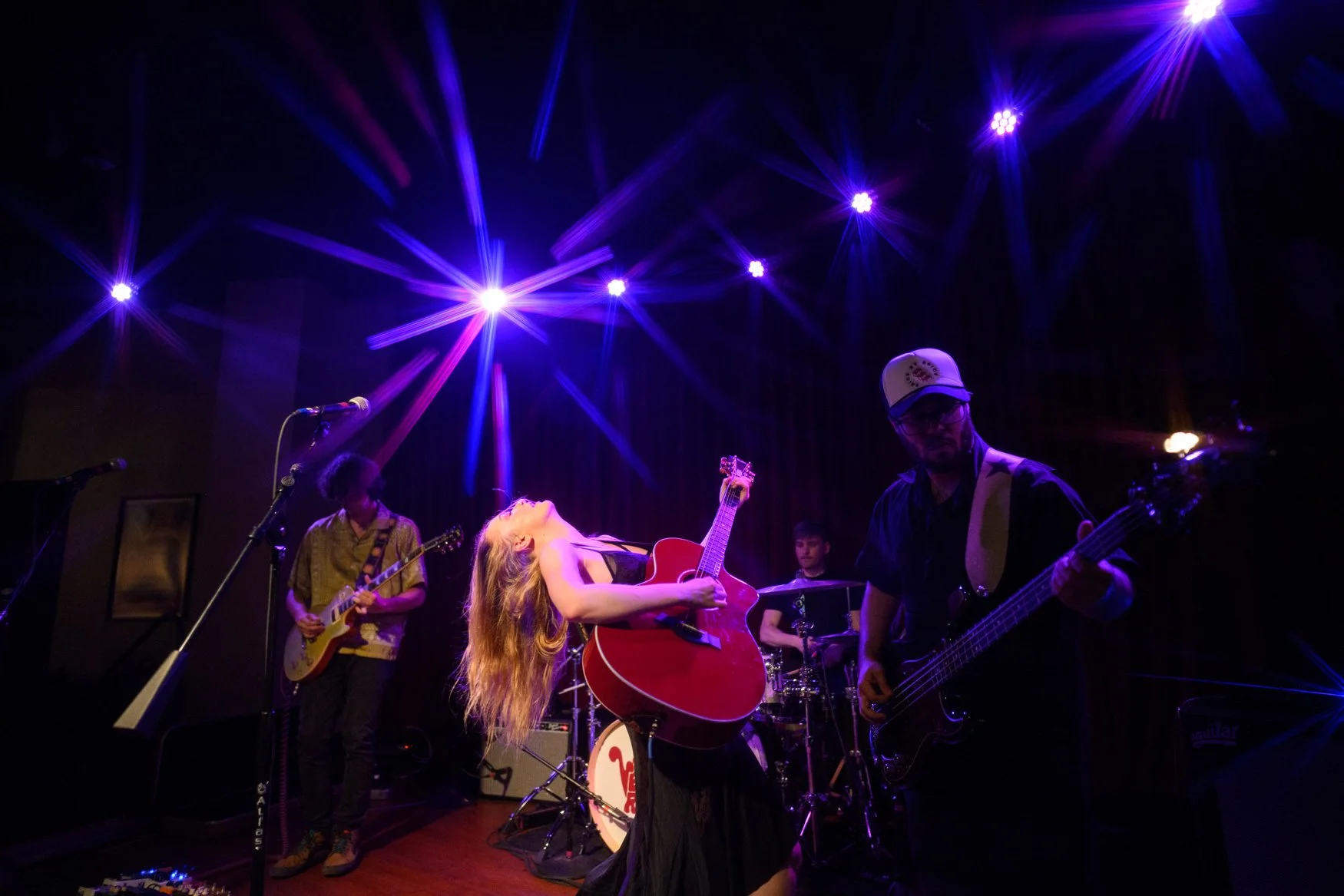 The Ladybug Music Festival