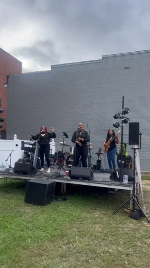 The Ladybug Music Festival