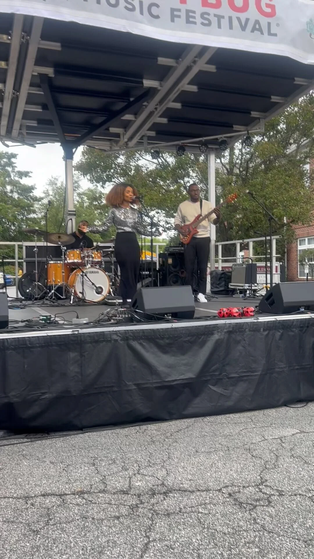 The Ladybug Music Festival