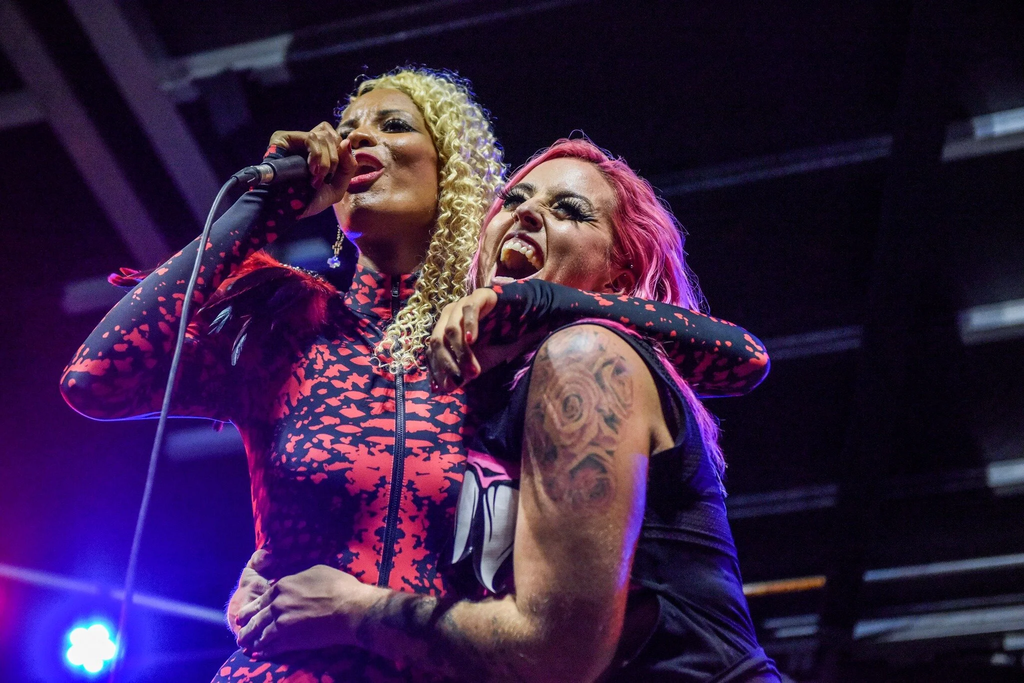 The Ladybug Music Festival