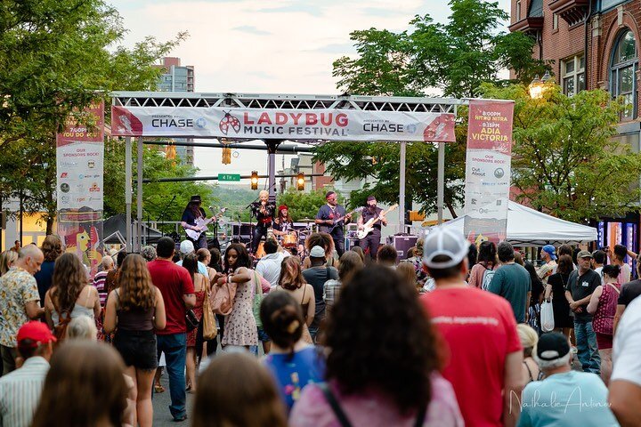 The Ladybug Music Festival