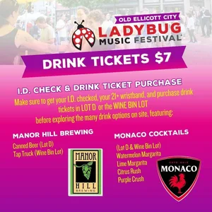 The Ladybug Music Festival