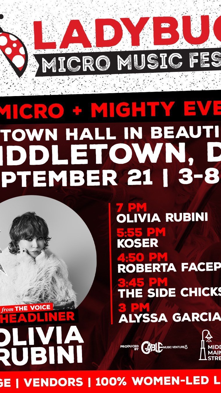 The Ladybug Music Festival