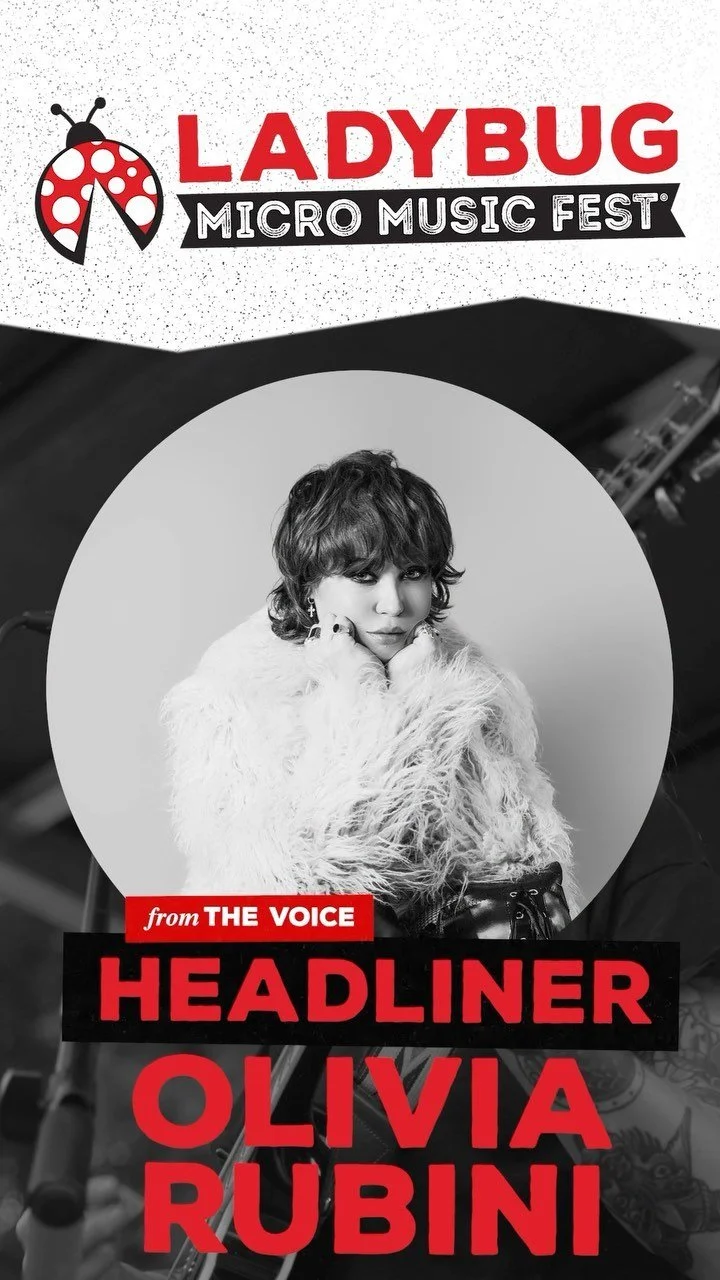 The Ladybug Music Festival