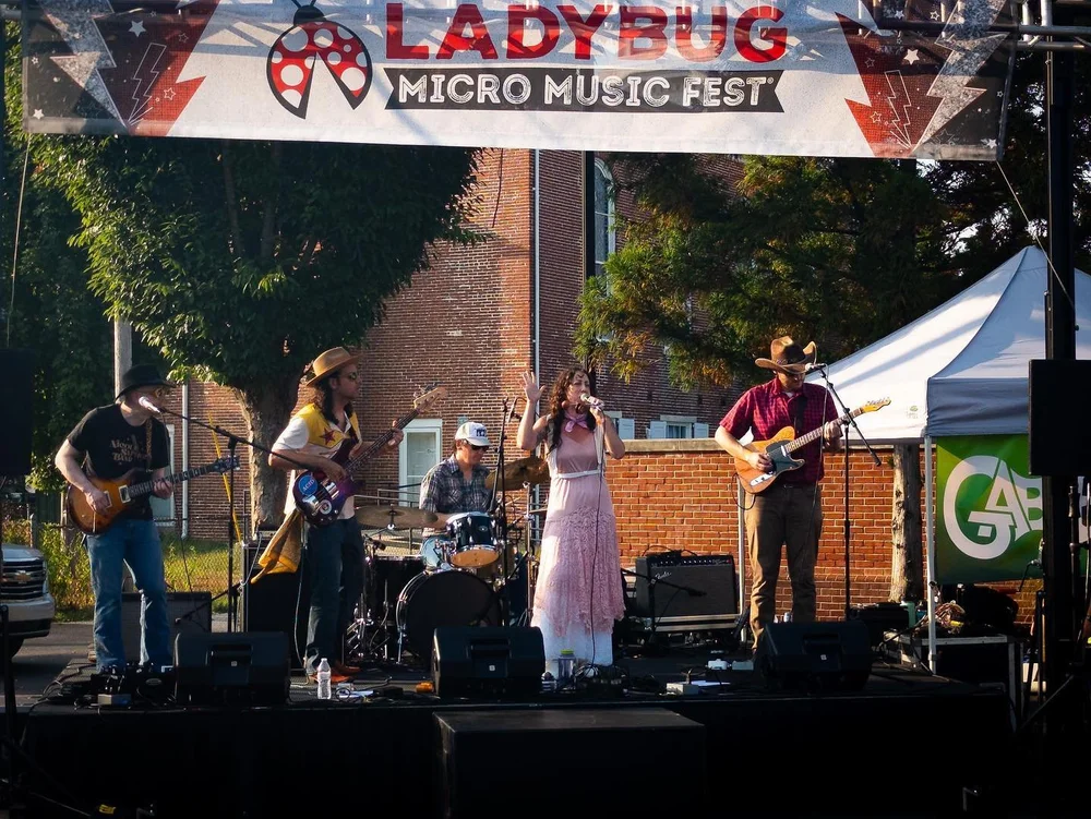 The Ladybug Music Festival