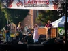 The Ladybug Music Festival
