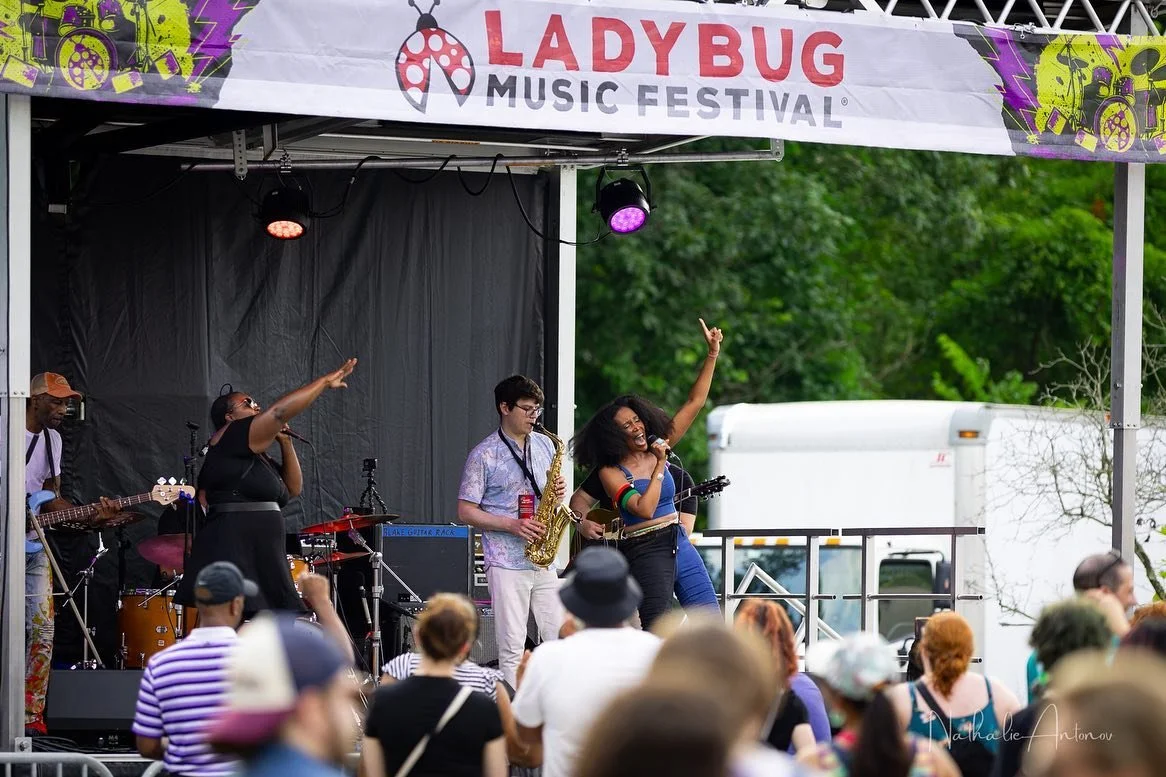 The Ladybug Music Festival