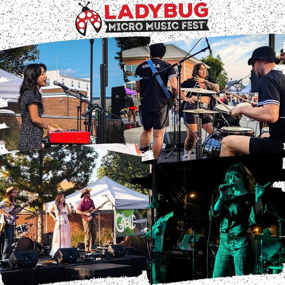 The Ladybug Music Festival