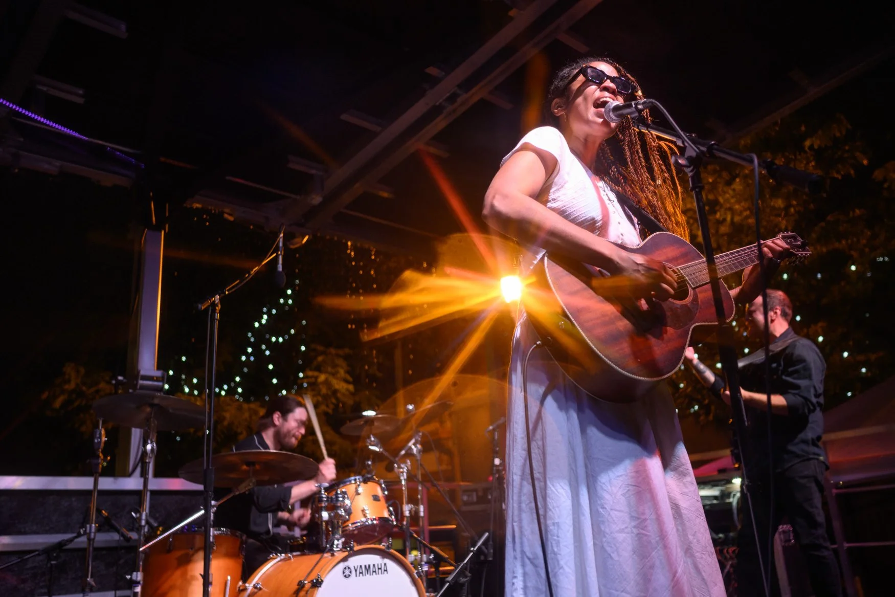 The Ladybug Music Festival