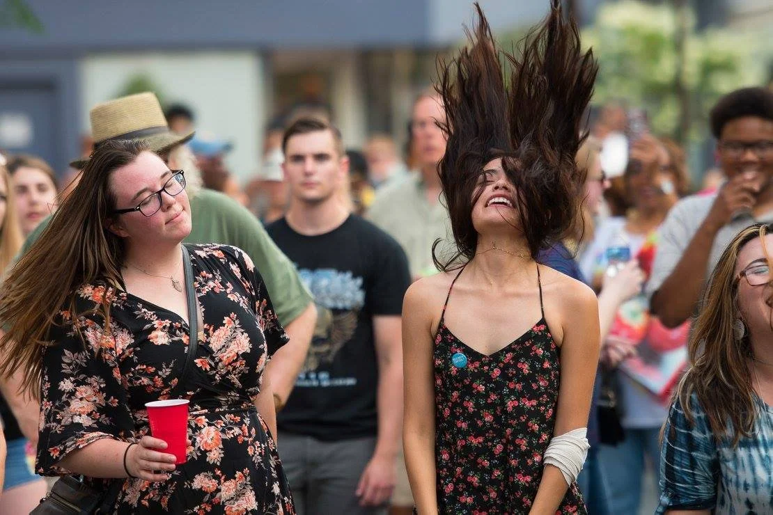 The Ladybug Music Festival