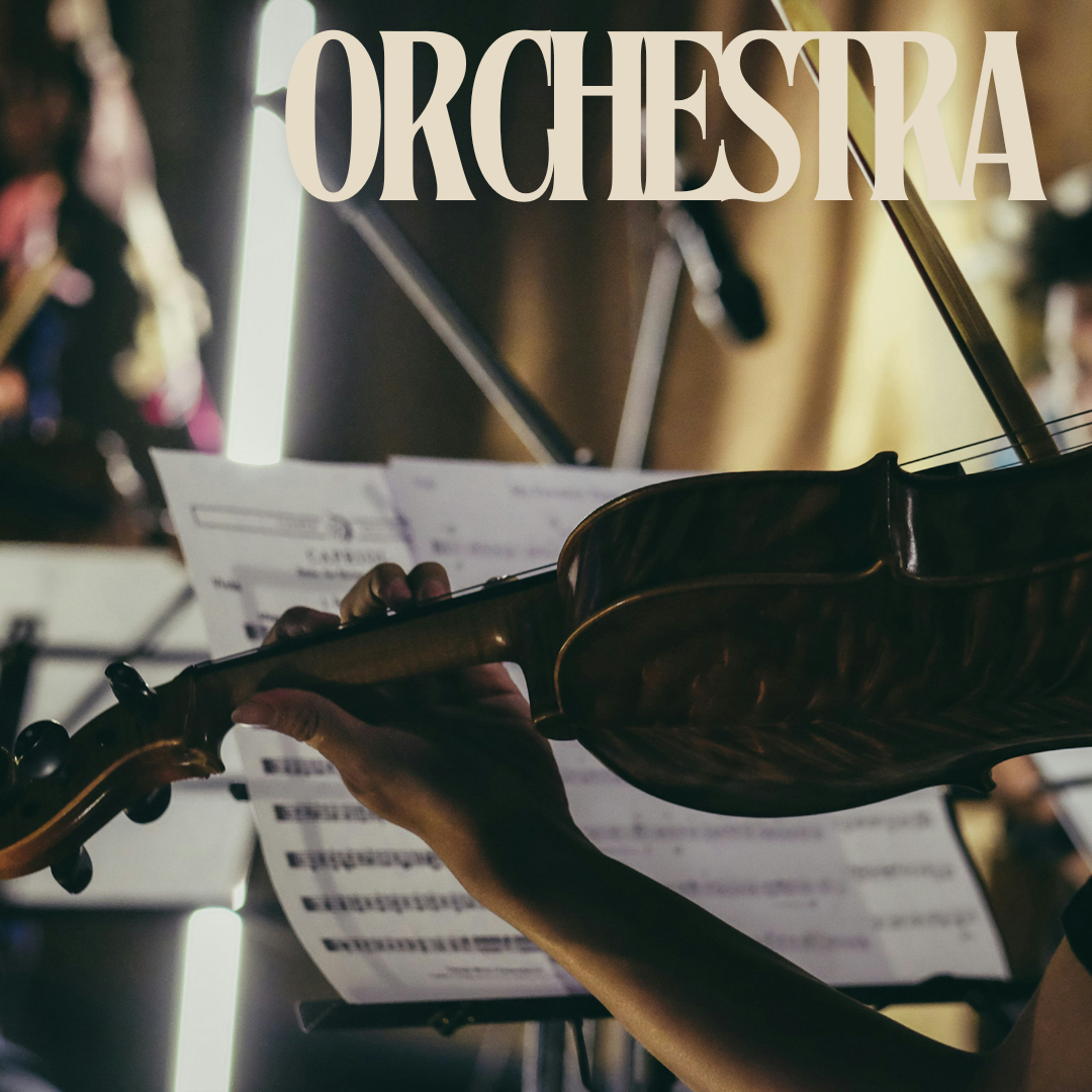 Chicago Summer Opera