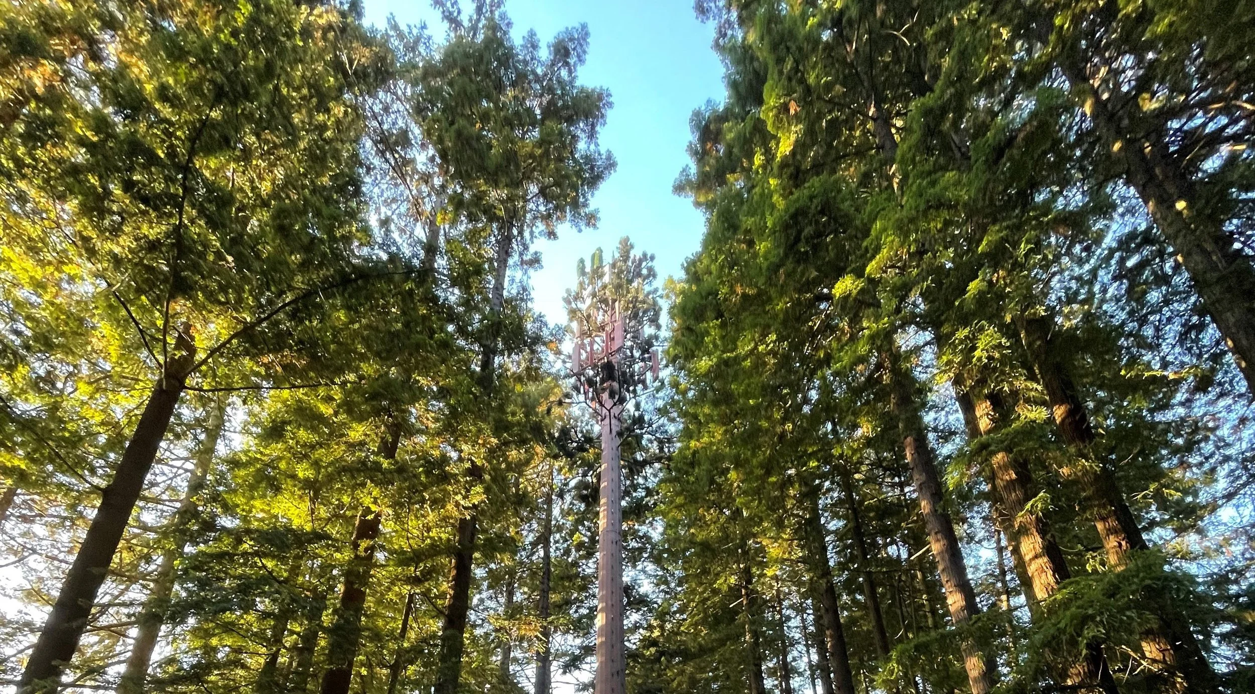 Legacy Wireless Services