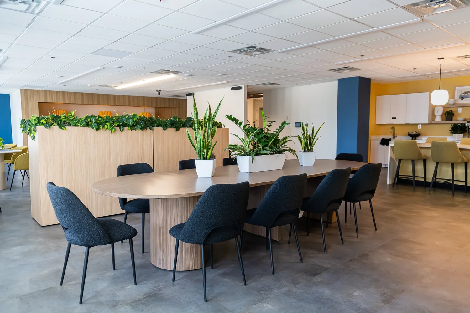 Bright and Modern Tech Office in Midtown Atlanta — Violet Marsh Interiors