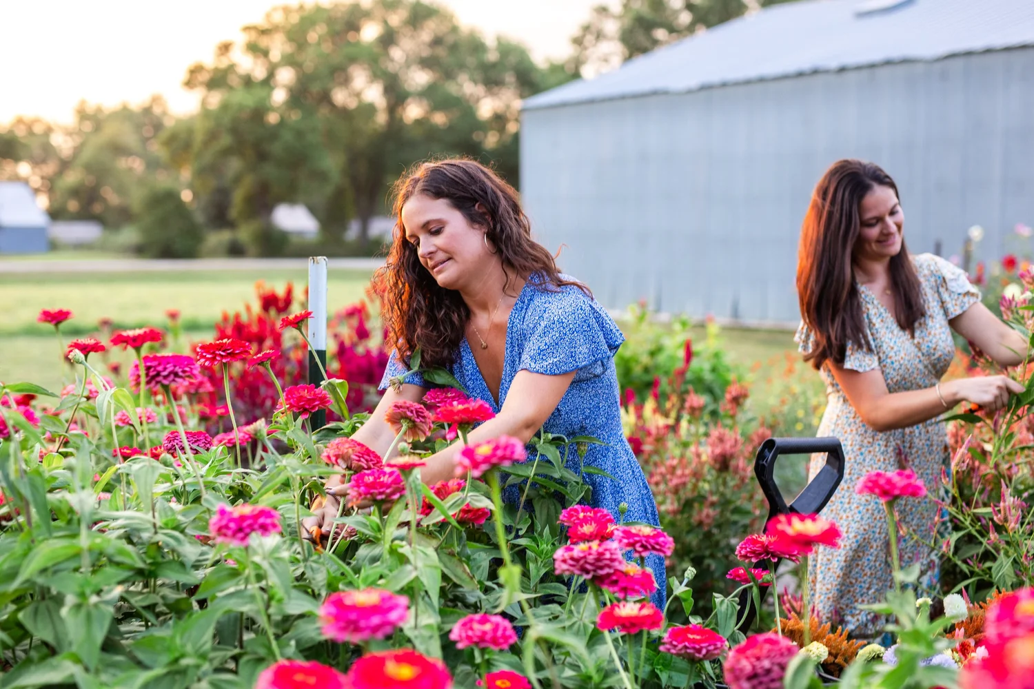 Blooming Creek Flower Farm