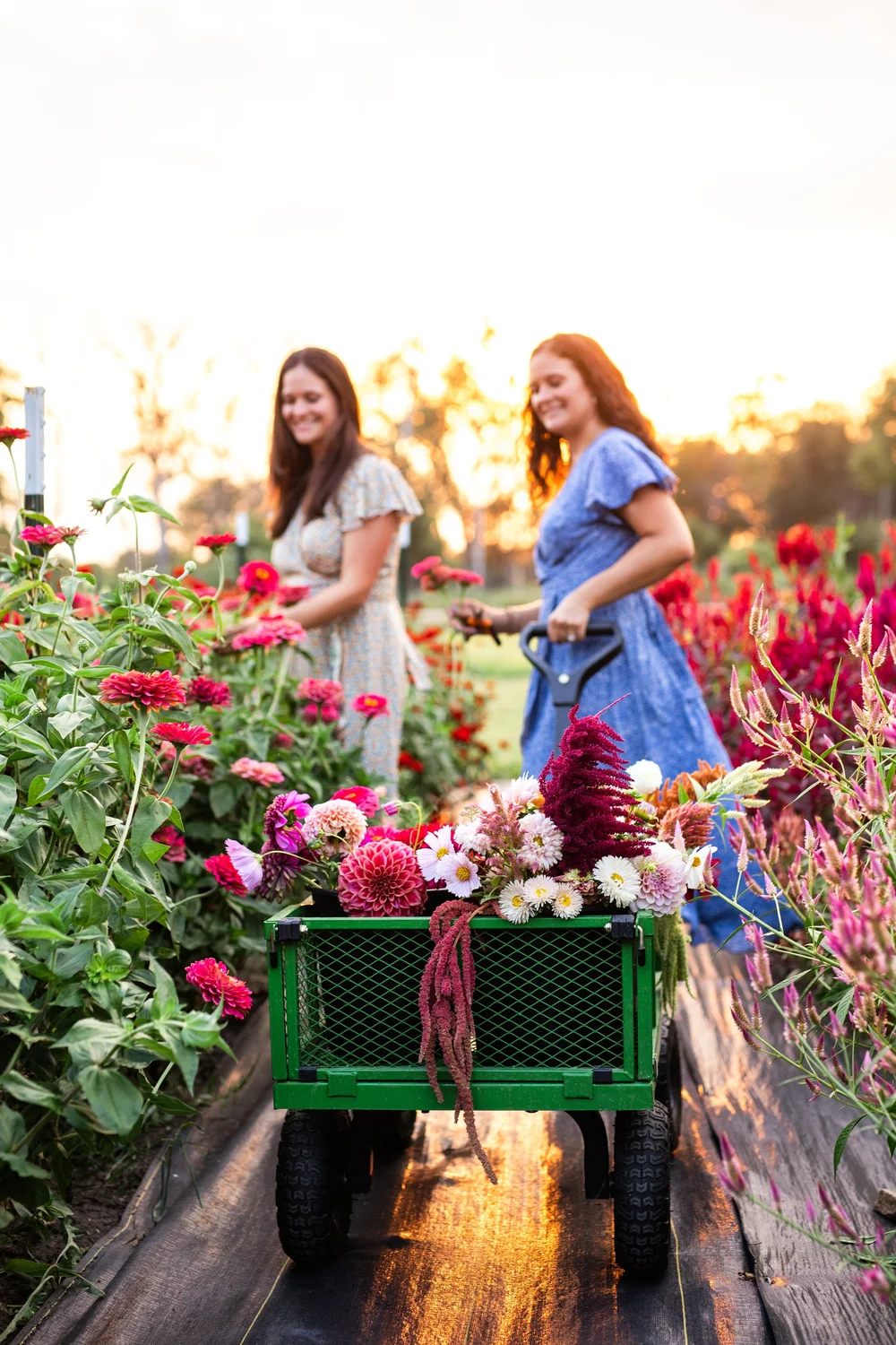 Blooming Creek Flower Farm