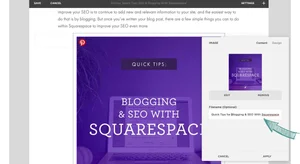 Quick Tips: SEO & Blogging With Squarespace — Six Leaf Design | Freelance Brand + Web Designer ...