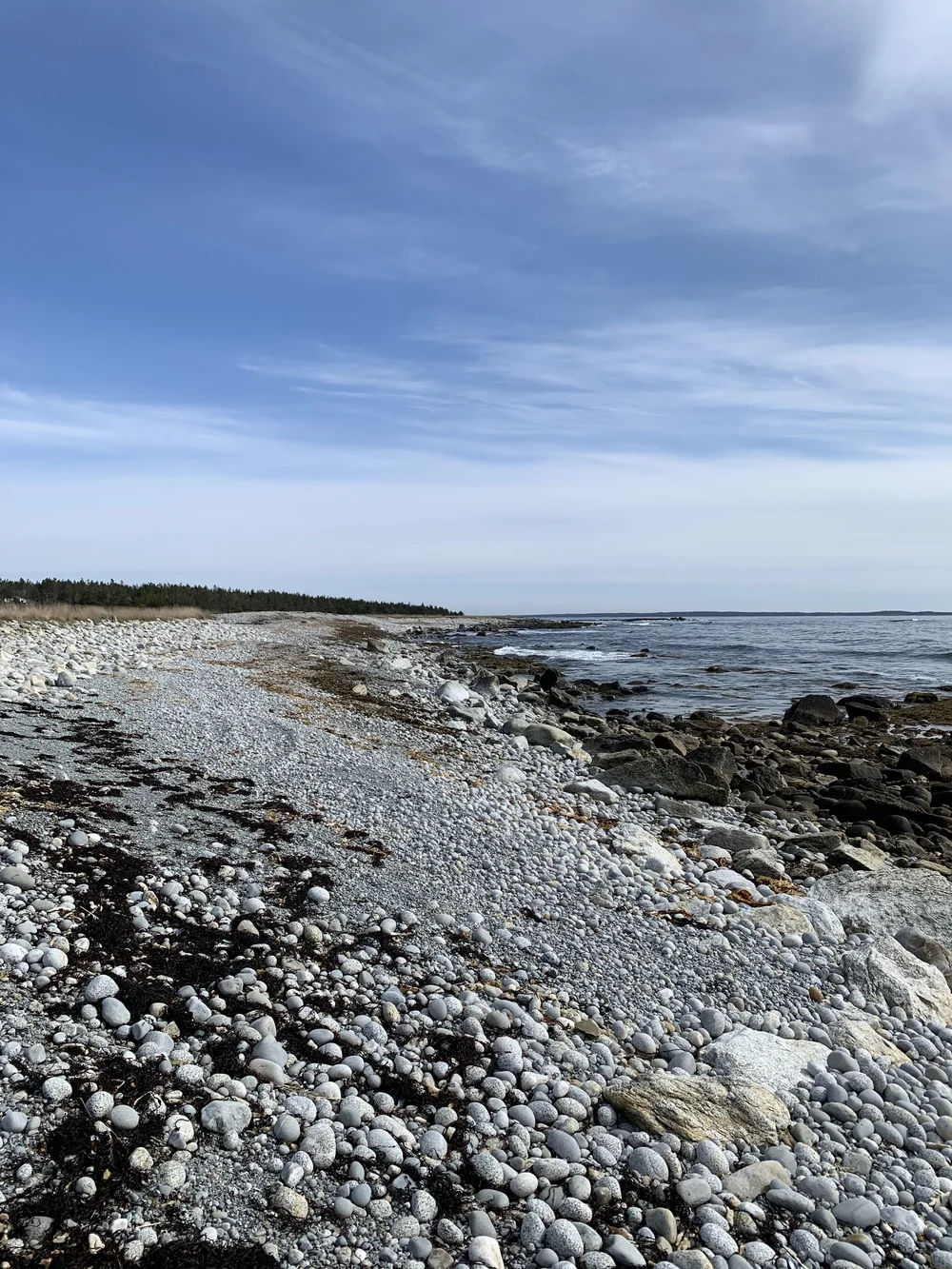 Baccaro — Pine Ridge Properties