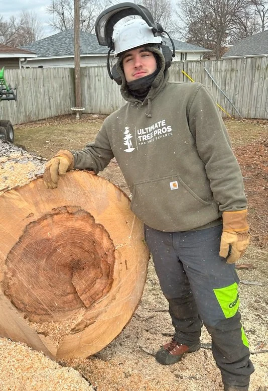 Ultimate Tree Pros