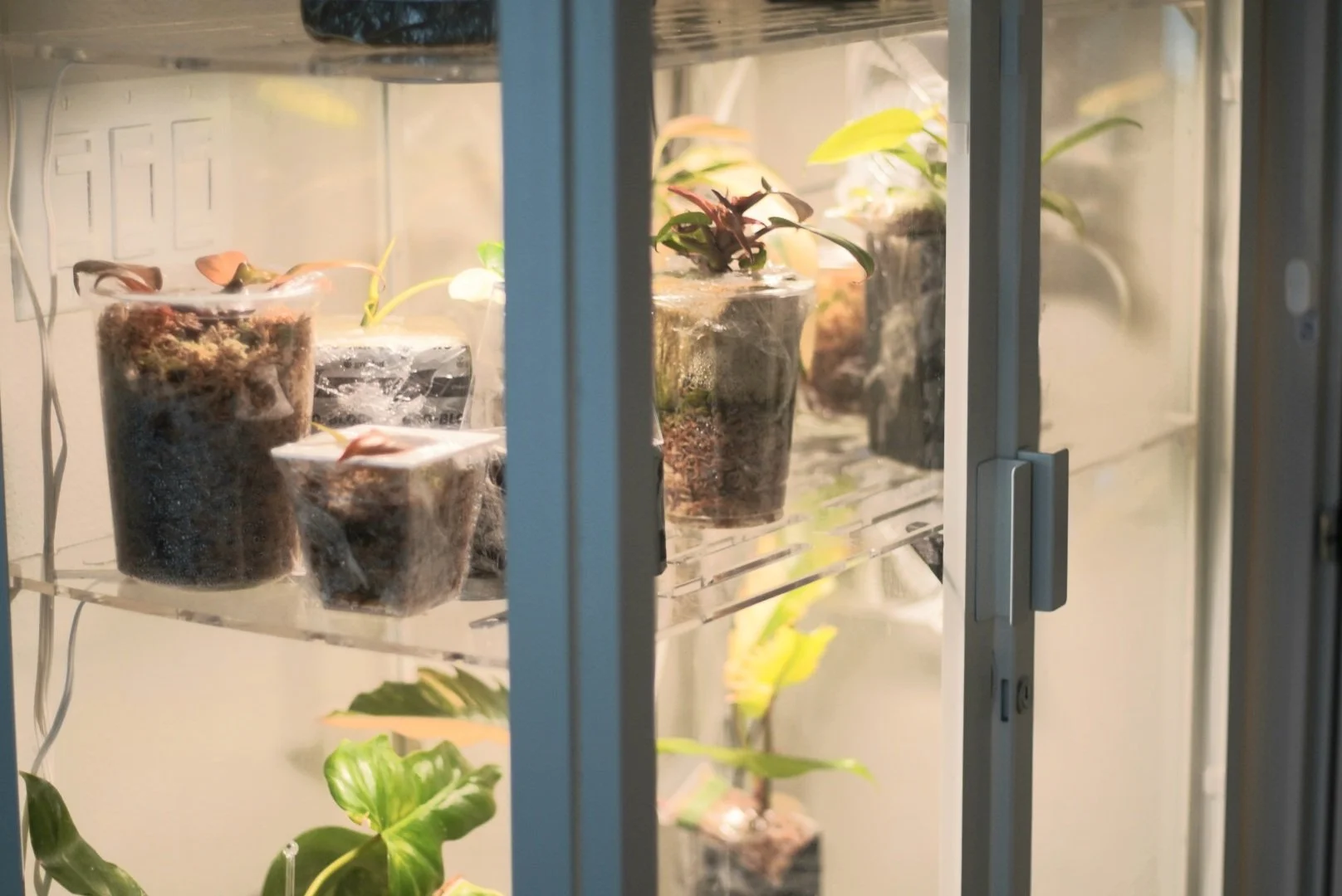Milsbo Tall- Full Width Acrylic Shelf for IKEA Greenhouse Cabinet by ...
