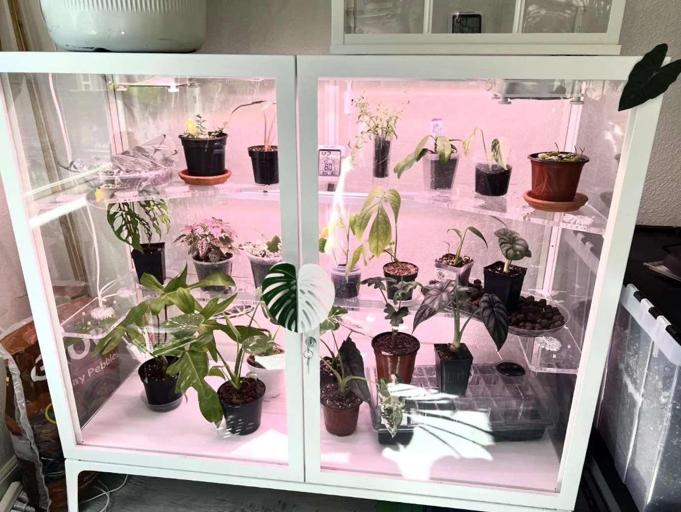 Milsbo Wide IKEA Greenhouse Wrap Around Acrylic Shelf by Modern Aqua ...