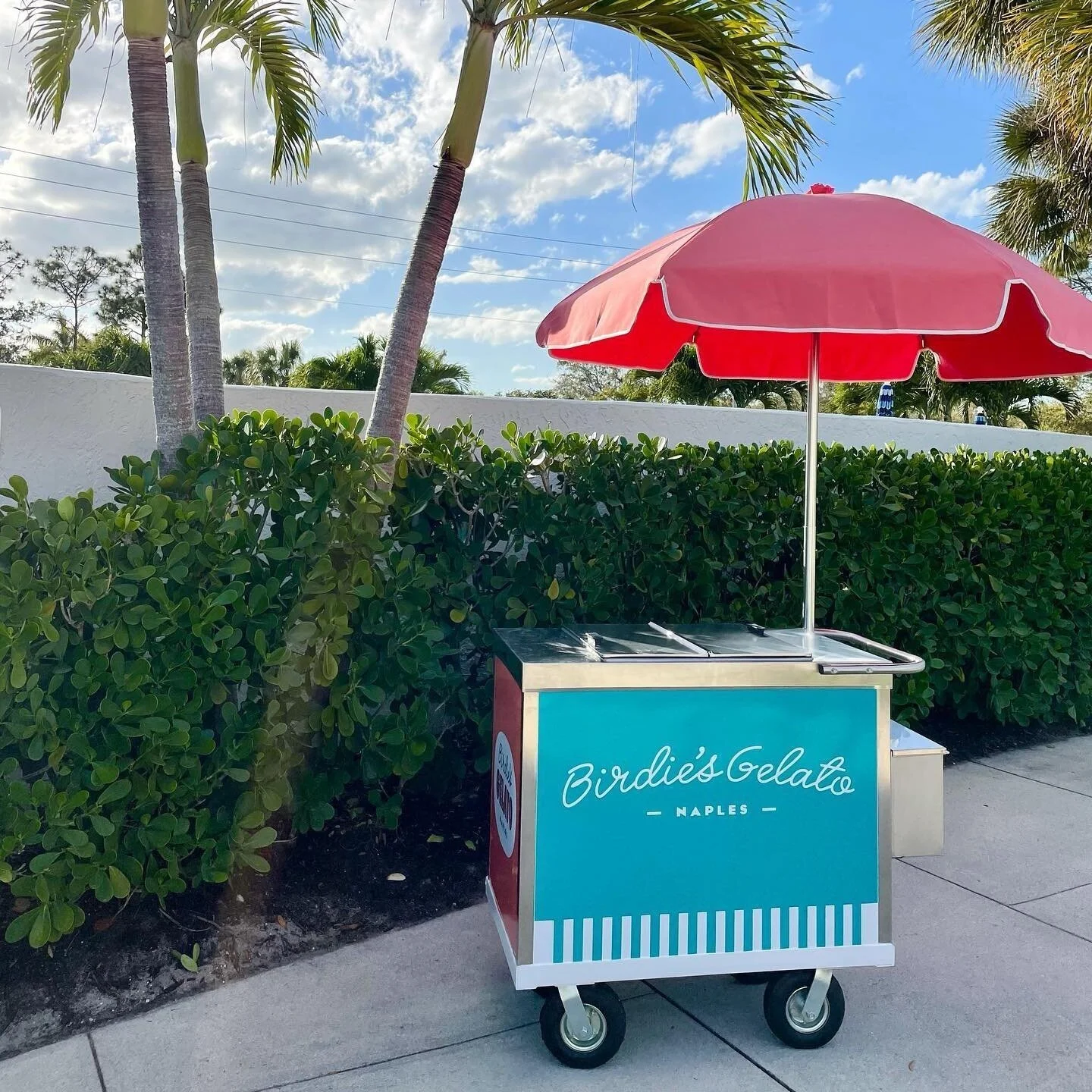 Birdie's Gelato