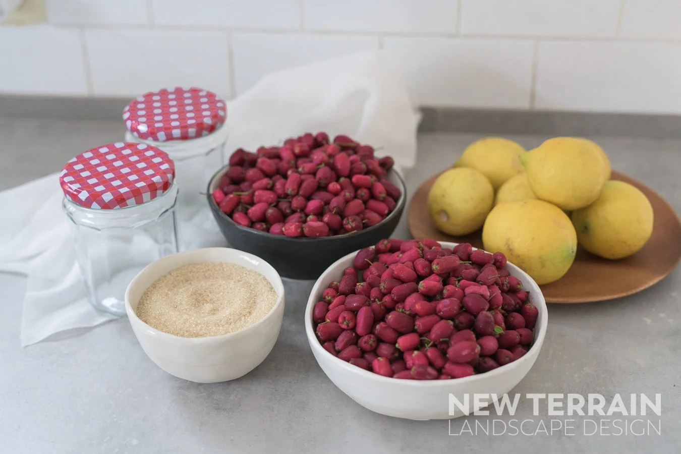 How to Make Lilly Pilly Jelly-Bush Tucker Recipe — New Terrain ...
