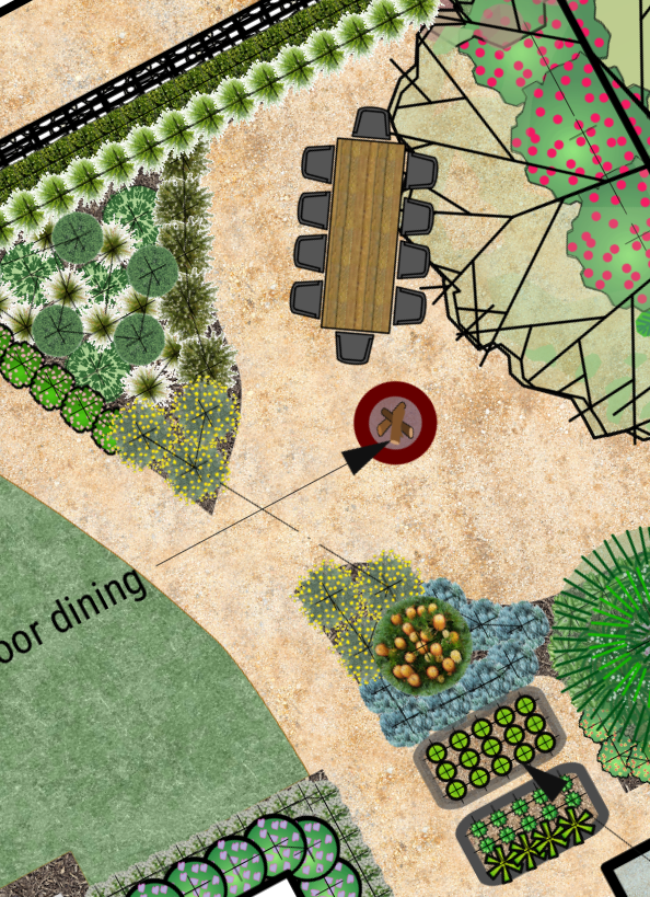 Landscape Design — New Terrain Landscape Design - Blue Mountains