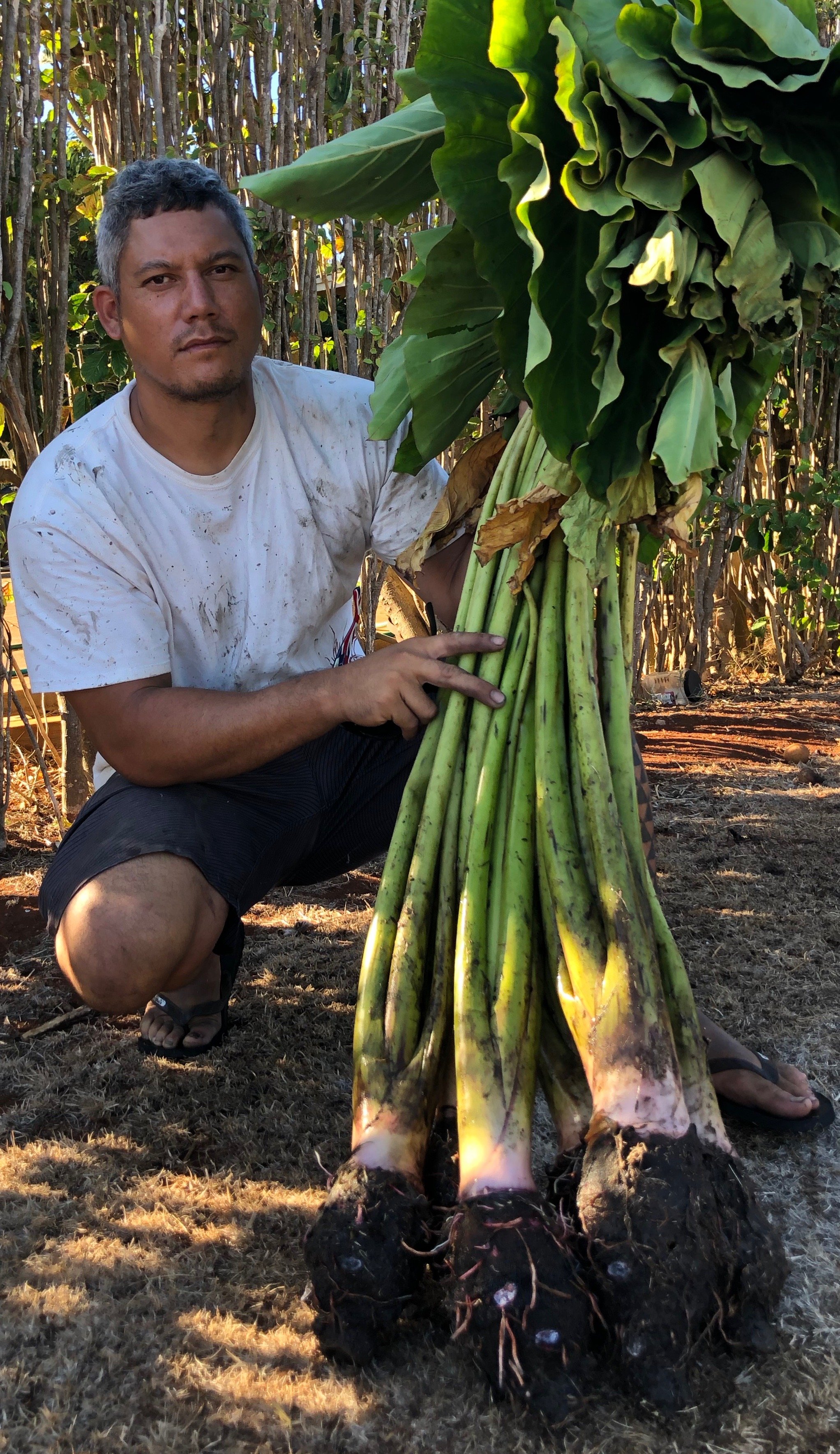 Laʻa Poepoe — E OLA