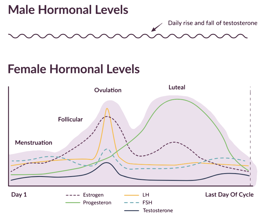 Period Reality
