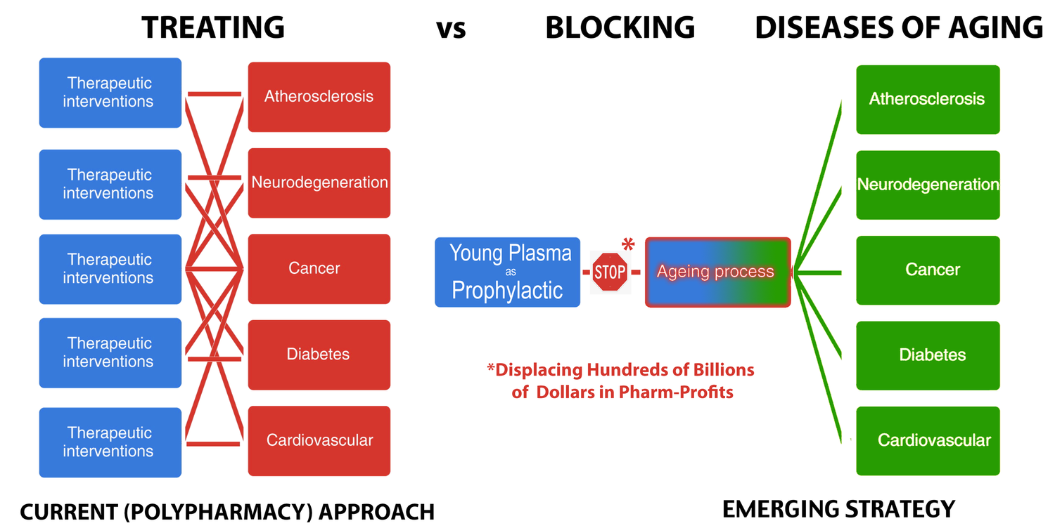 YOUNG PLASMA — AGE-REGRESSION.COM
